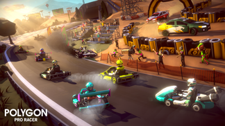 POLYGON | Pro Racer | Synty® Official Store – Synty Store