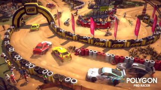 POLYGON | Pro Racer | Synty® Official Store – Synty Store