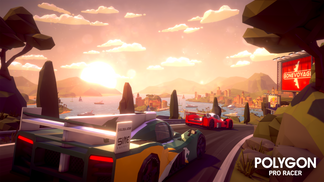 POLYGON | Pro Racer | Synty® Official Store – Synty Store